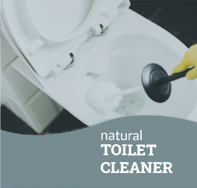 Natural Toilet Cleaner [ 500 ML] – BubbleNut Wash